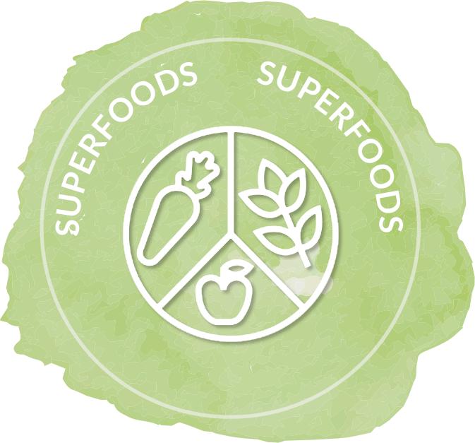 Superfoods for Clean & Conscious Living | Arham Life – Arham Organic Store